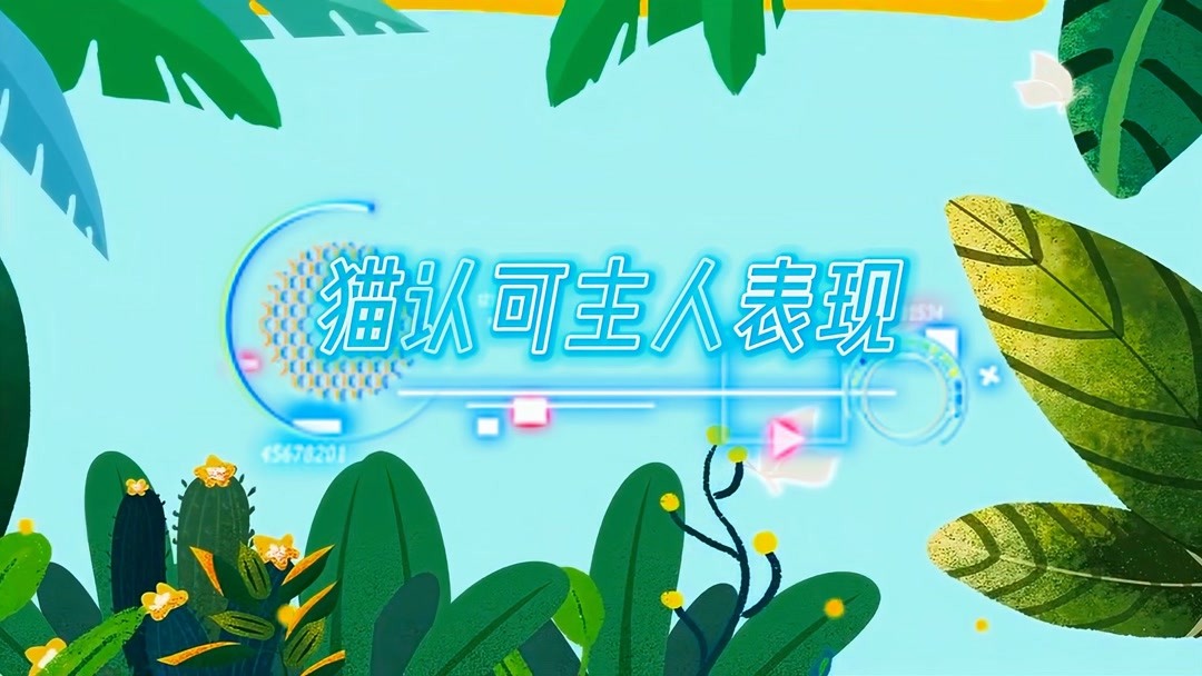 猫认可主人的六个表现,有这几个表现,说明主人在它心中是重要的