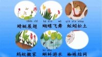 《动物儿歌》第二课时.mp4