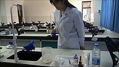制作人口腔上皮细胞临时装片