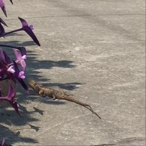 周周都是美好的一周 