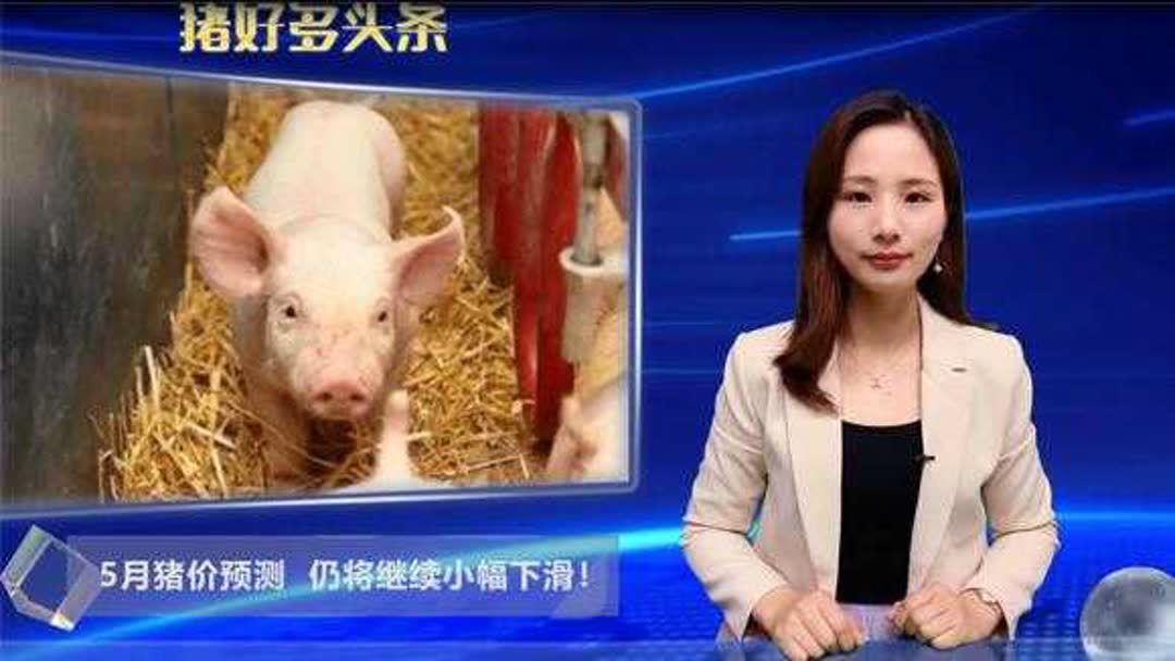 猪价跌破15元还不停!猪价何时止跌?面临着2个坏消息!