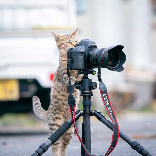 刘小王呀呀呀呀 