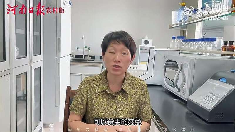 【 野生菌菇知多少 |野生蘑菇有没有最保险的吃法?收下这份野生菌...
