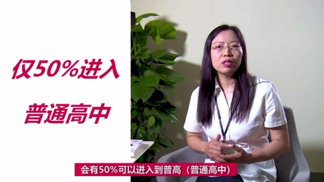 北大青鸟职业教育—初高中生职业培训学校的社会背景