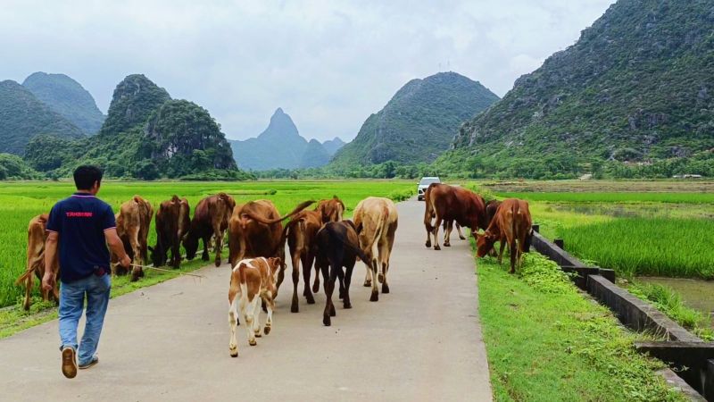 165、桂林的春天 桂林旅游博物馆 2022 年录制
