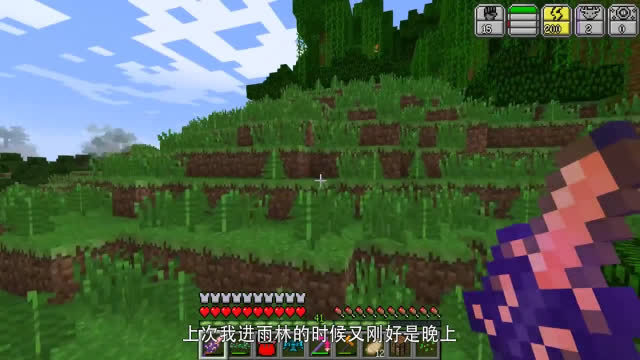 我的世界:我在雨林发现丛林神庙,会藏着什么宝贝呢?