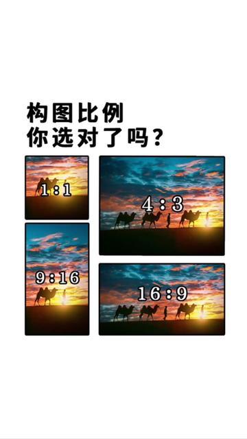 摄影选择正确的比例拍照,构图的效果也不一样相机构图
