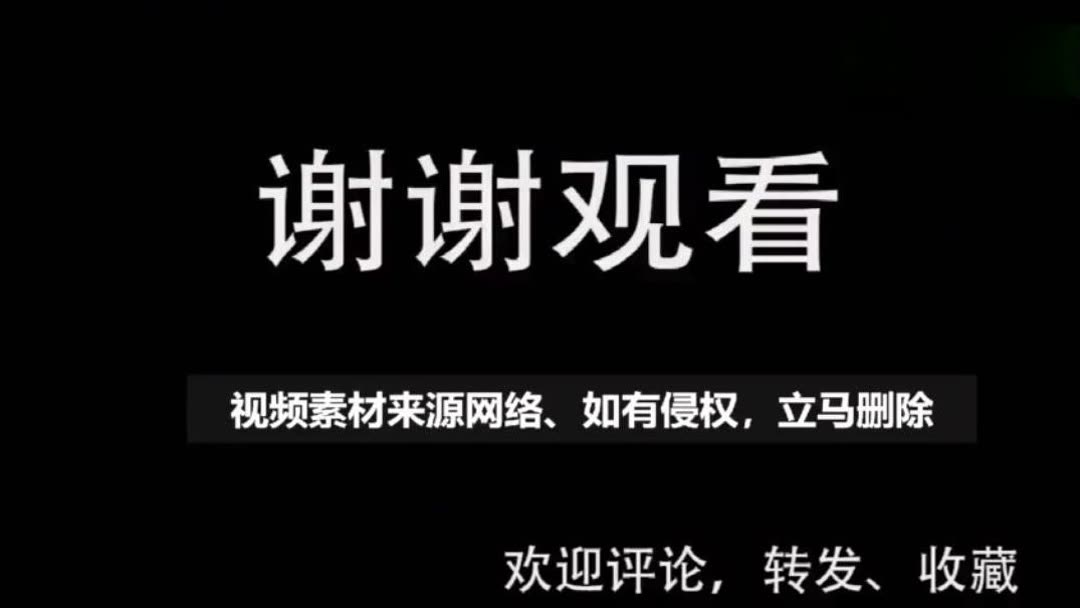 金灿荣,观世界
