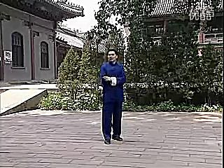 46式太极短棍基本棍法_标清