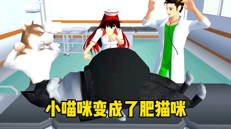 樱花校园模拟器:小猫咪变成了肥仔猫咪,可把唐三乐坏了