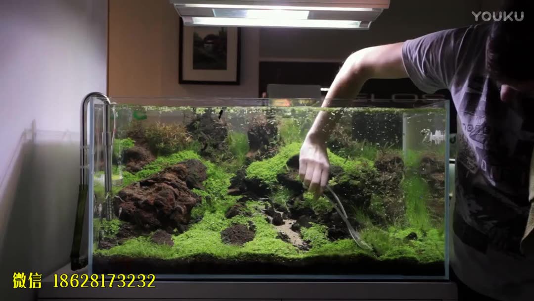 07day造景 水草缸 90 60 45cm开缸与维护流程