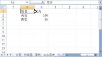 Excel 2007视频教程29-图表(3):动态图表