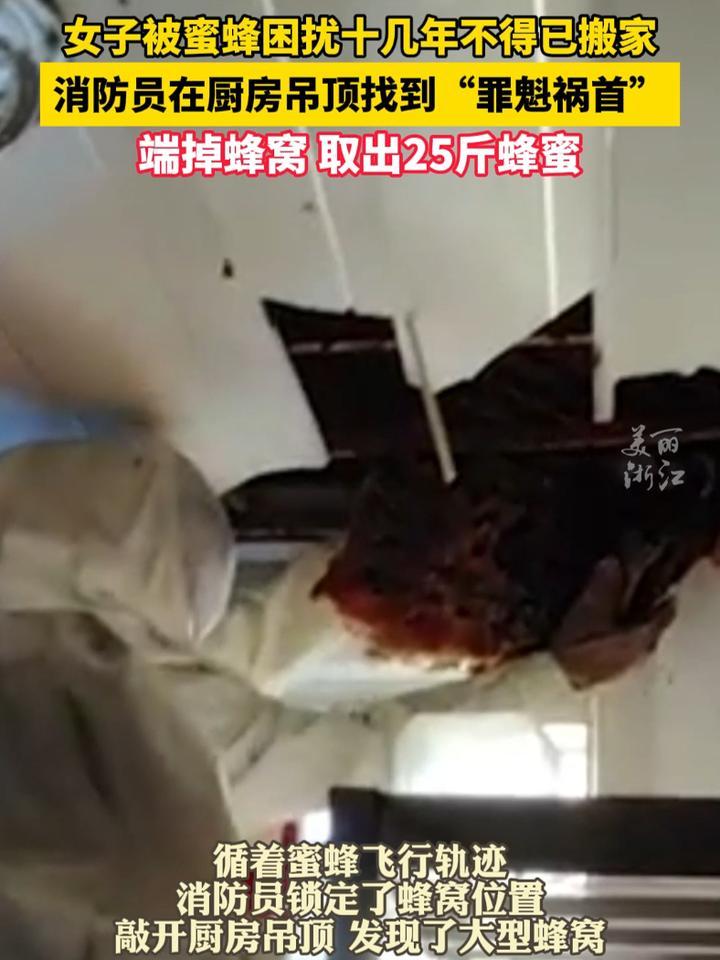 ...年,消防员在厨房吊顶里取出25斤蜂蜜!(供稿:余杭融媒体中心 浙江之声)