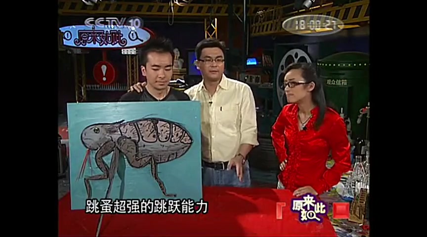 【模型师老原儿】宁老师早期作品 怎么灭跳蚤最有效