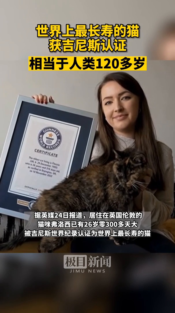世界上最长寿的猫获吉尼斯认证 已经有26岁零300多天大,相当于人类120多岁