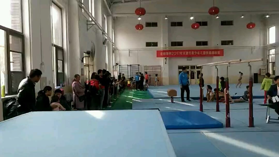 儿子的跳马比赛