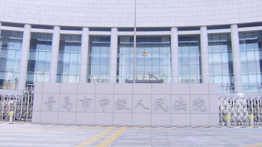 青岛扫黑处恶专项斗争,执法部门重拳出击,法院审判一批典型案件