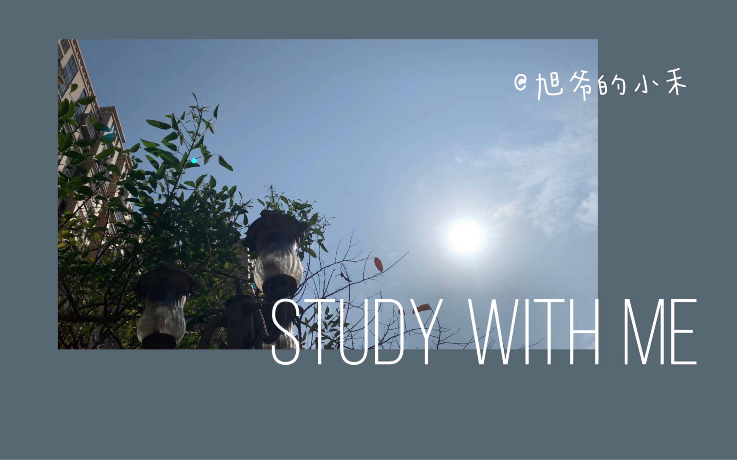 Study with me |共勉| 摘抄主持人大赛的语录| 一周未上传学习片段|BGM:...