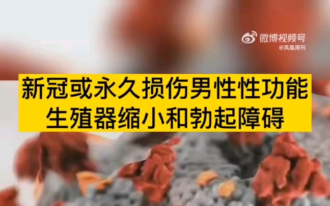 新冠或永久损伤男性性功能,包括生殖器缩小和勃起障碍