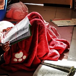 学科英语小屿岛 