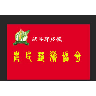 献县郭庄镇农民艺术协会 