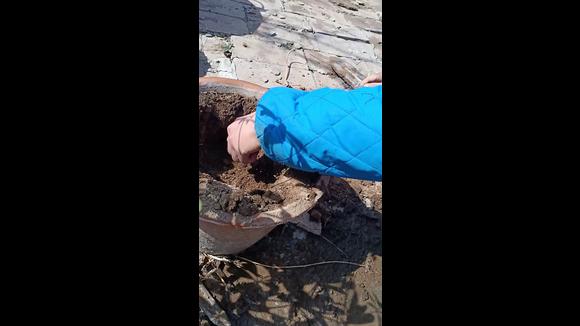 爱绿 护绿 关爱家园