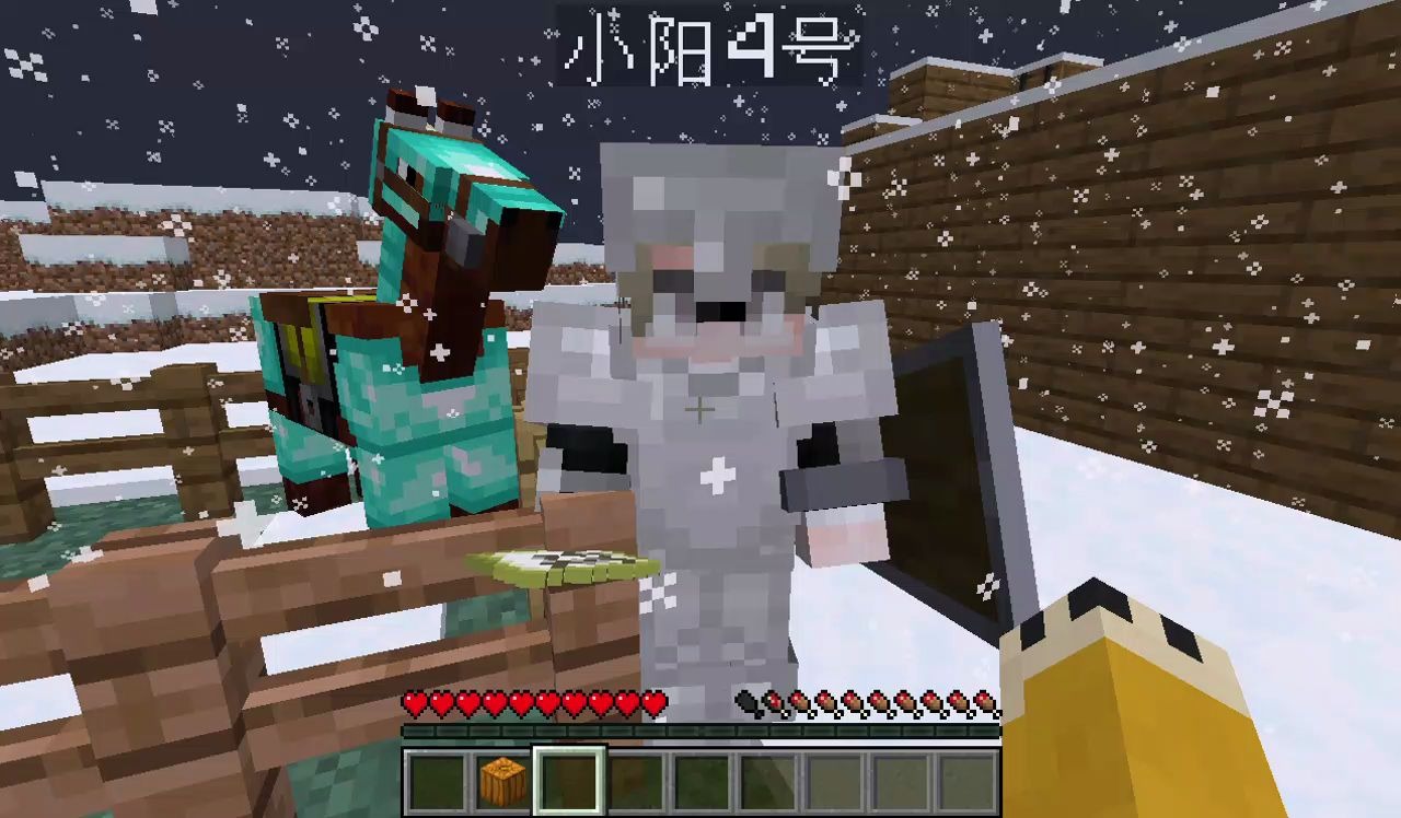 我的世界 1.14.3生存,好友视角 [ 本人电脑太渣,录视频太卡 ]