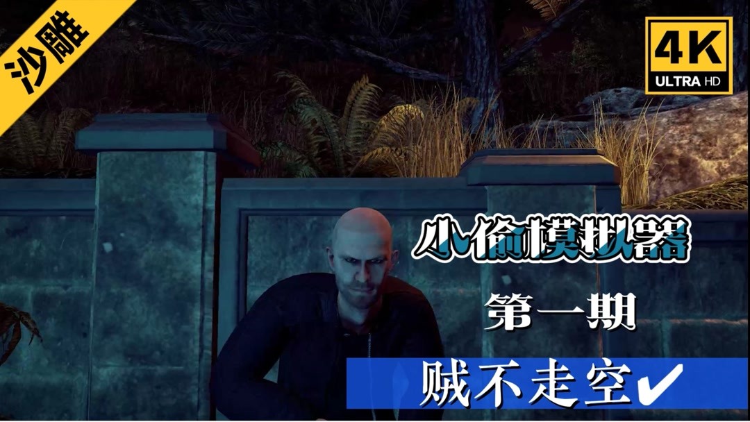 小偷模拟器:最奇葩的搞笑游戏,做小偷连锅都要拿走,太专业了!