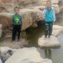 河北申街玉麒麟 