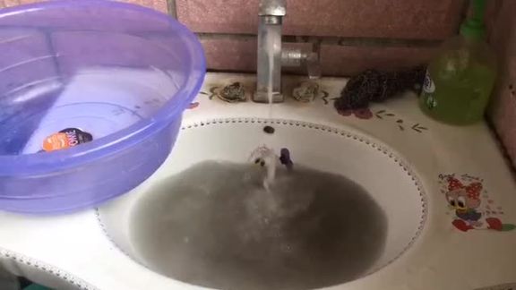 管净康家庭自来水管清洗,前置过滤器销售与安装