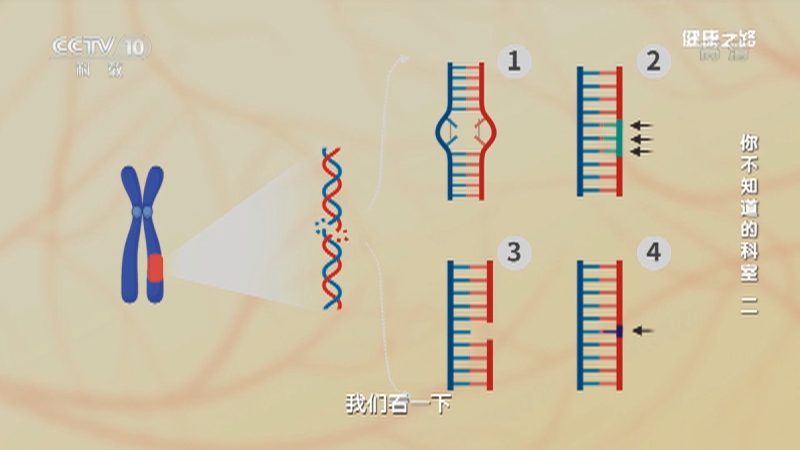 [健康之路]你不知道的科室——病理 病理检测指导精准治疗