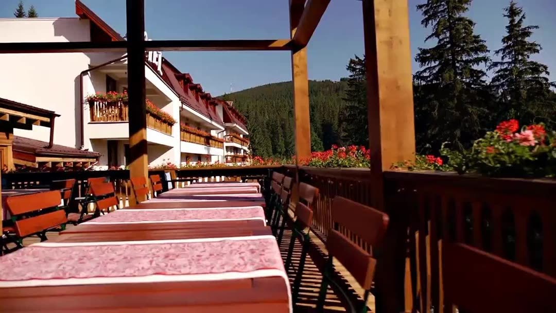 高清视频素材 森林酒店宣传片(1198)720P