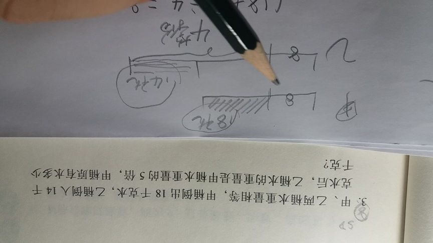 三年级数学,线段法应用和倍问题,题八