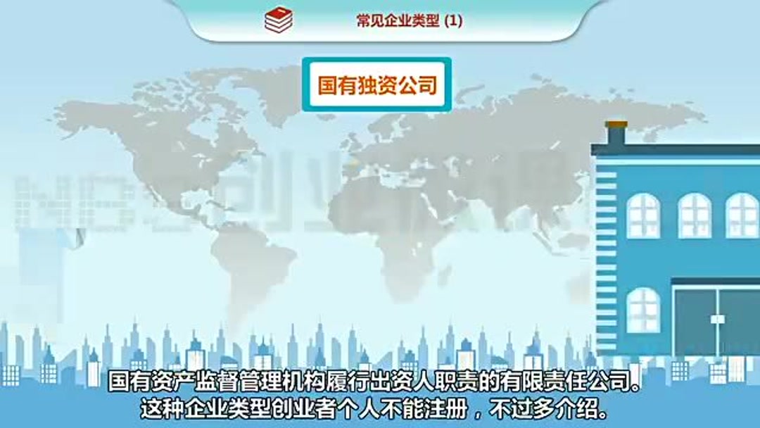 09-01-01常见企业类型(一)