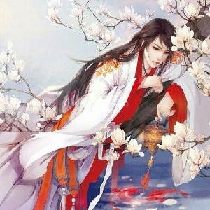 阴氏兰雪 