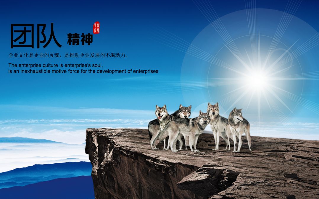 团队精神企业文化企业宣传PPT
