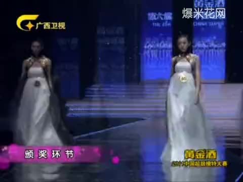 2011第六届中国超级模特大赛:最佳单项奖