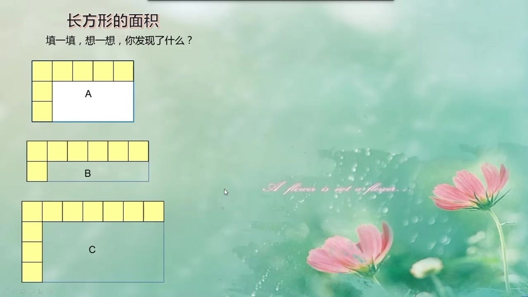 长方形的面积