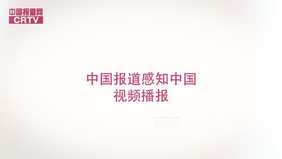 中国报道感知中国栏目组 2018世界华人精英联合会艺术家年会