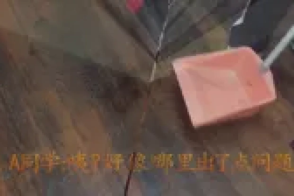 劳动教学之拖地篇