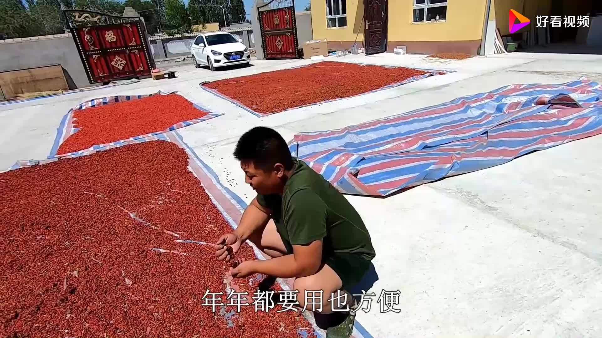 朋友在新疆农村买了一个院子办厂,江南帮忙装监控意外听到黑内幕