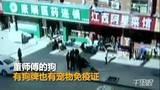 【浙江】太残忍!打狗队当着狗主人的面将狗处死 一只狗60块钱