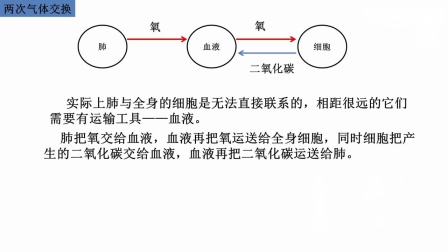 0417七年级生物-发生在肺内的气体交换(第二课时)-辽工大附中何兴