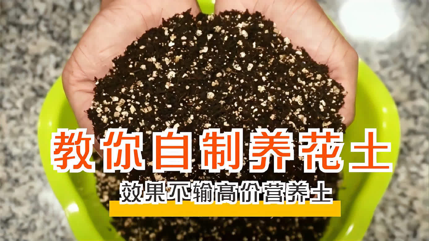 .配置“养花土”,材料随处可以见,肥力不熟“营养土”