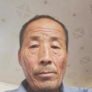 养蜂老师 