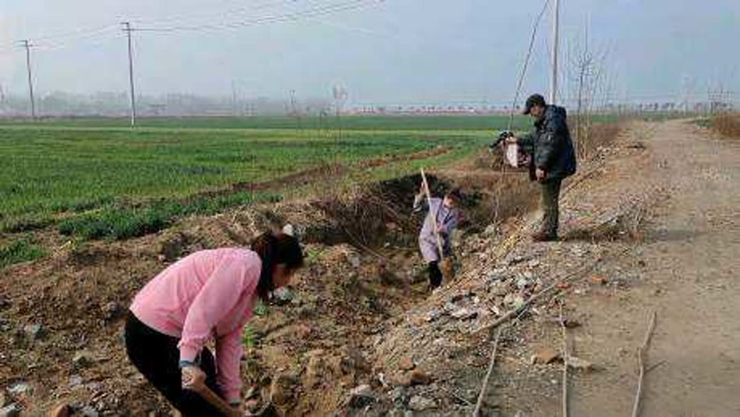 植树节,农村华子全家人去植树,发扬中华民族优良传统