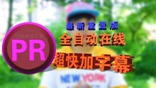 PR进阶教学:如何快速加字幕,看完提升50%效率