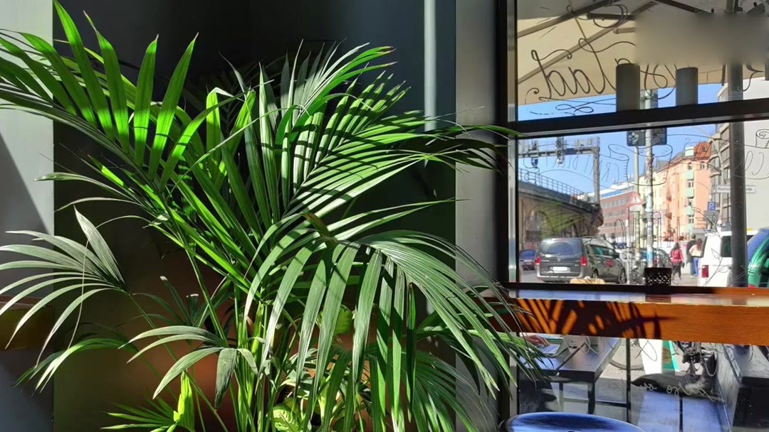 OnePlus 7T上手评测,搭载90Hz屏、骁龙855+和IMX586传感器摄像头