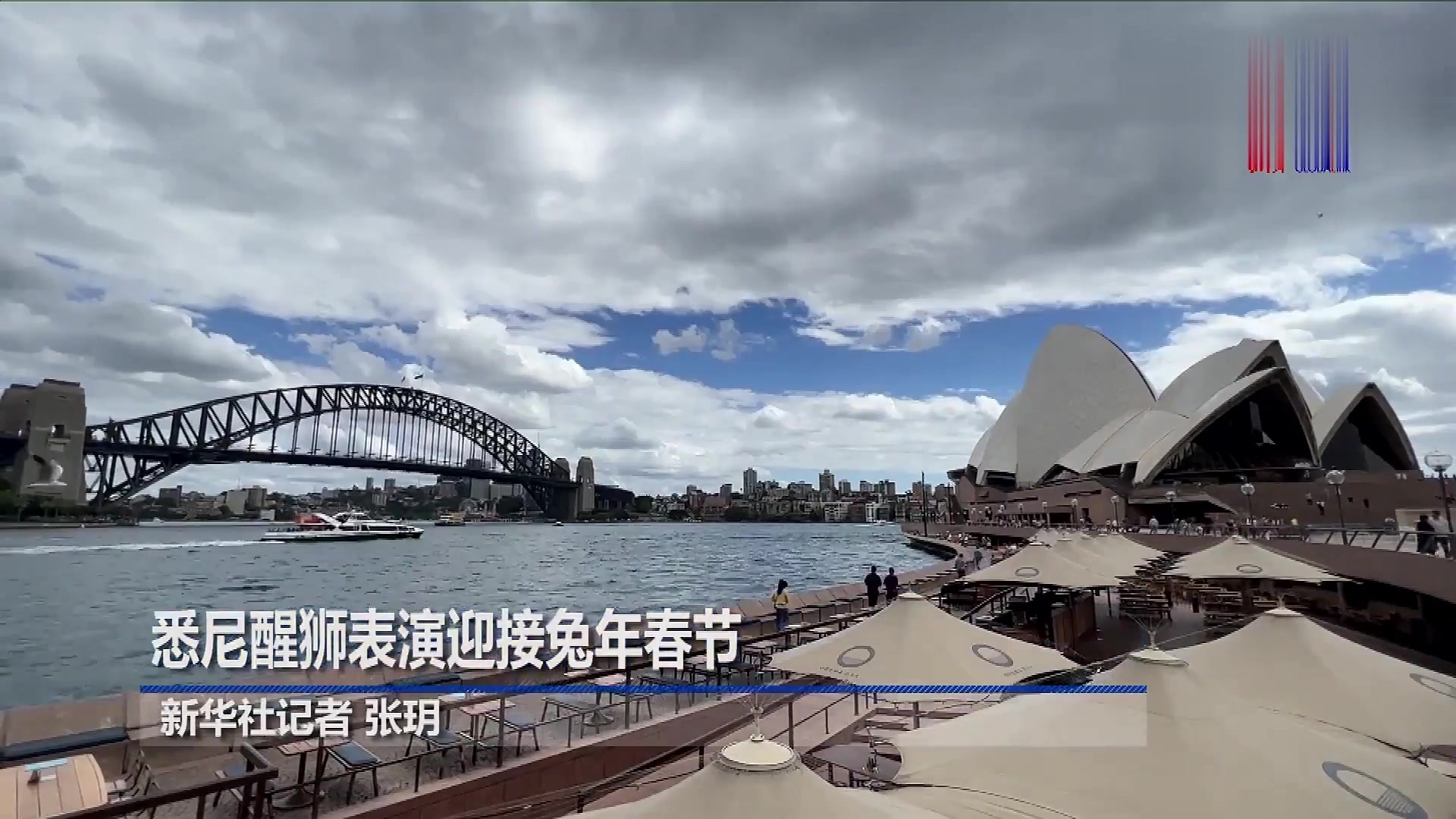 全球连线|悉尼醒狮表演迎接兔年春节
