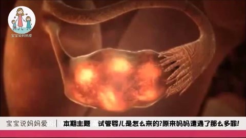 试管婴儿是怎么来的?看着都觉得痛,原来妈妈遭遇了那么多罪!